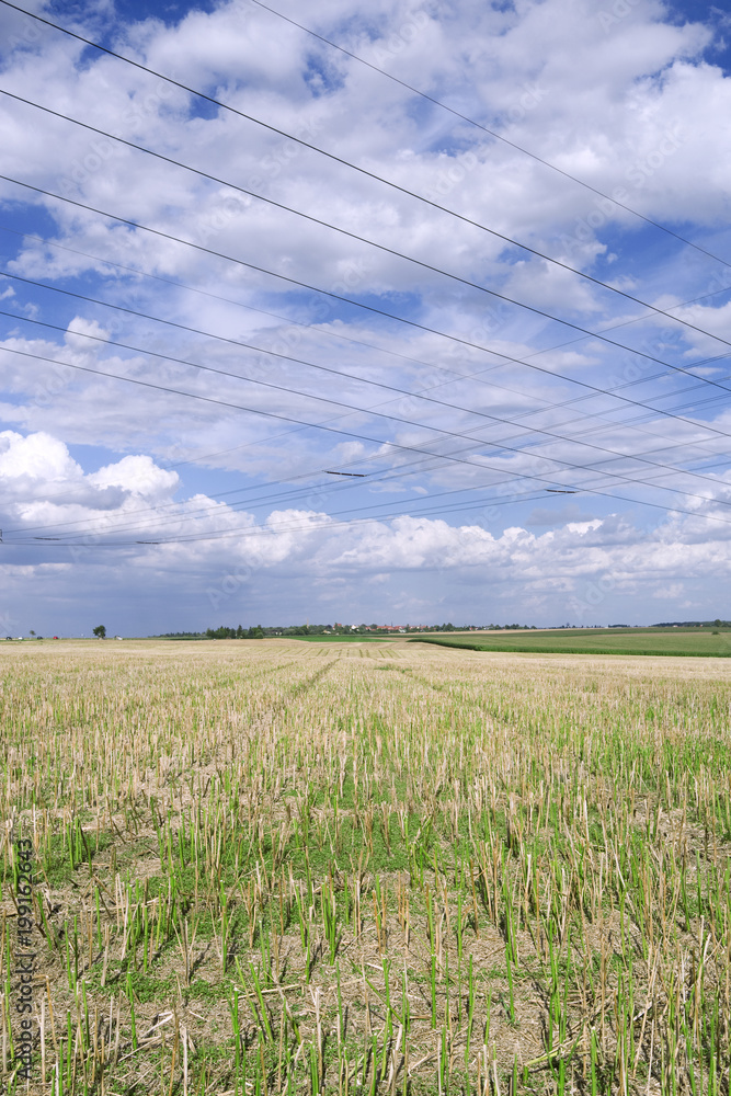 Power Lines: A 110 KV and a 220 KV high-voltage power line crossing ...