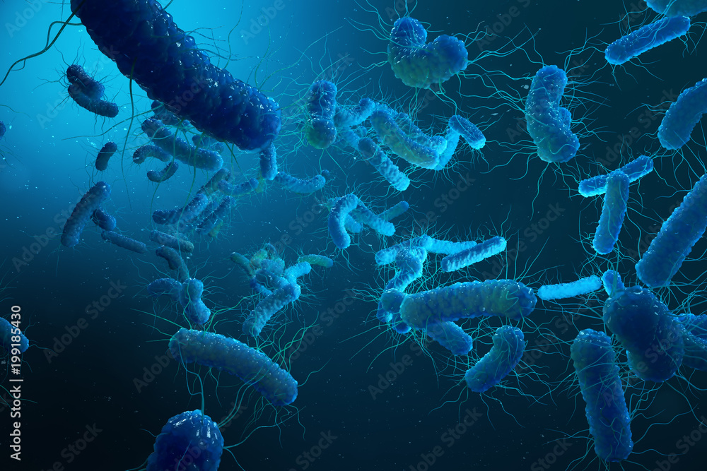 Enterobacterias Gram negativas Proteobacteria, bacteria such as ...
