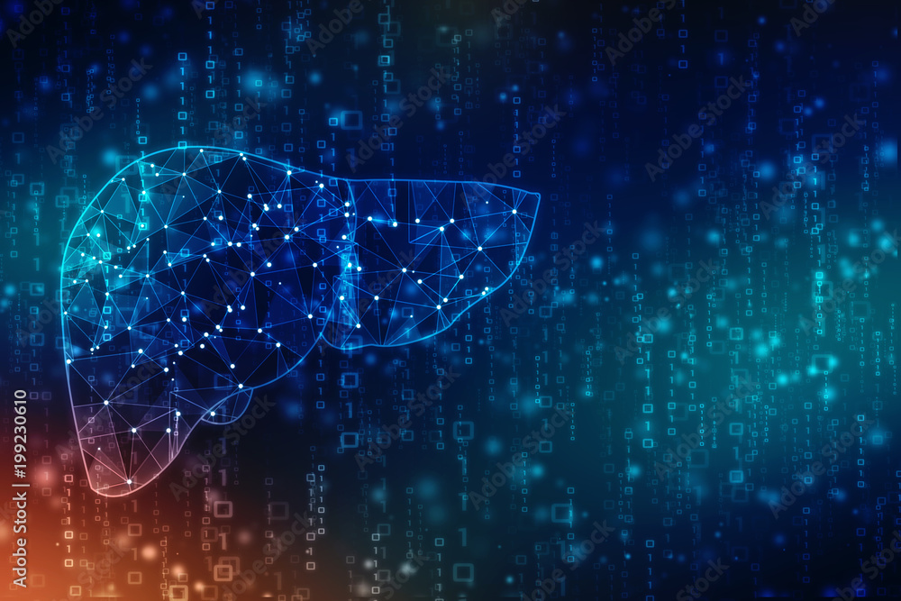 2d illustration human liver, Medicine anatomy, organ human, health and ...