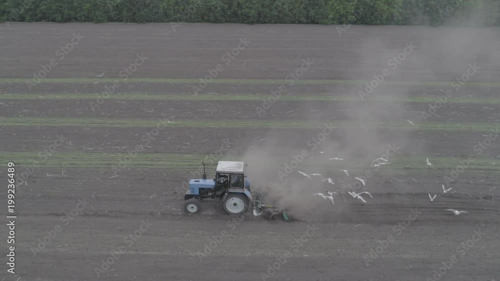 A view from the air as a blue tractor rides through the field and borrows the seedlings, leaving ...