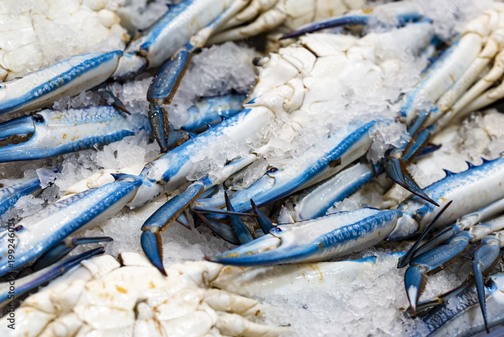 Pile of blue crab. Fresh blue crab with ice display at market. Stock ...