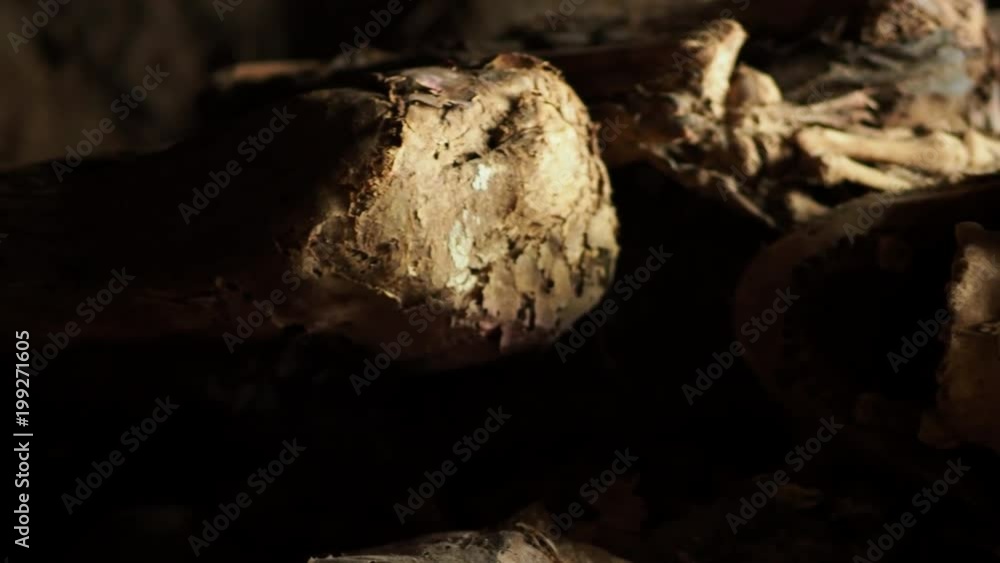 Ancient Ibaloi fire mummy in Kabayan, northern Luzon, Philippines. The ...