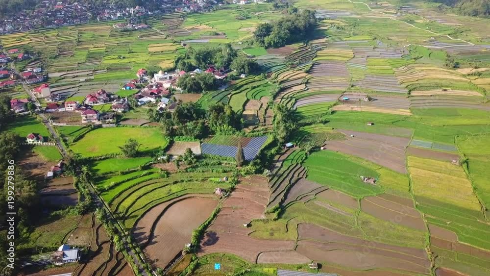 Drone approaches closely to rice field parts divided to plots by water ...