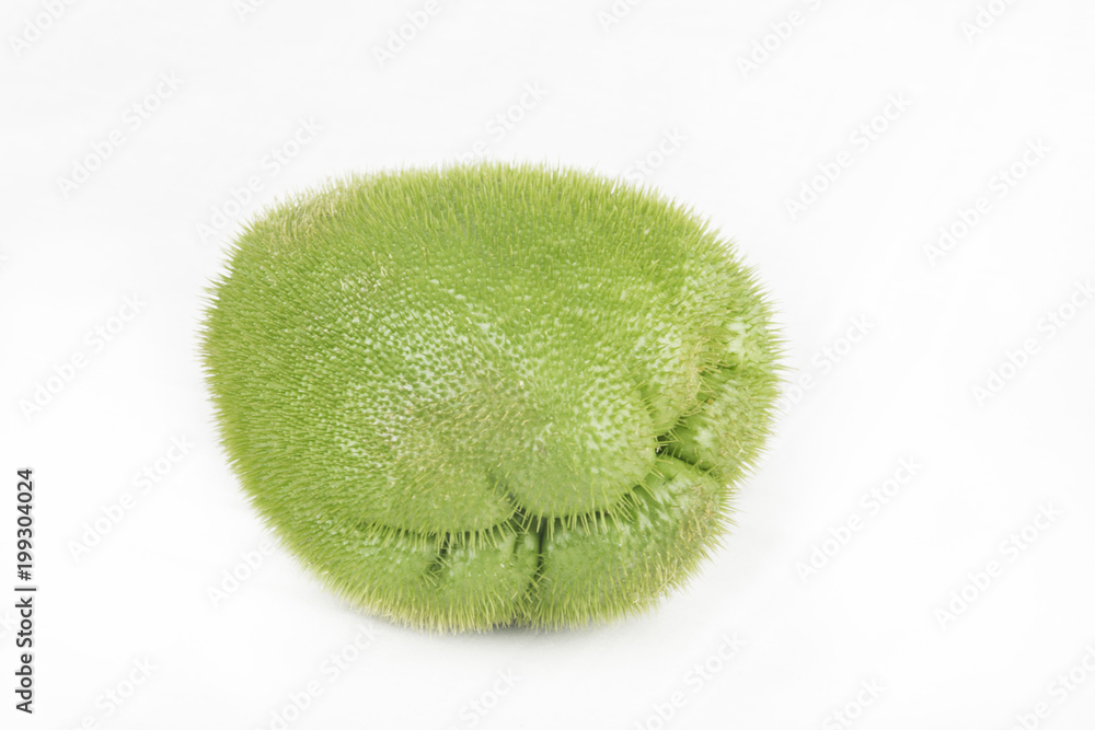 Chayote con espinas Stock Photo | Adobe Stock