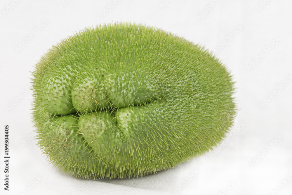 Chayote con espinas Stock Photo | Adobe Stock