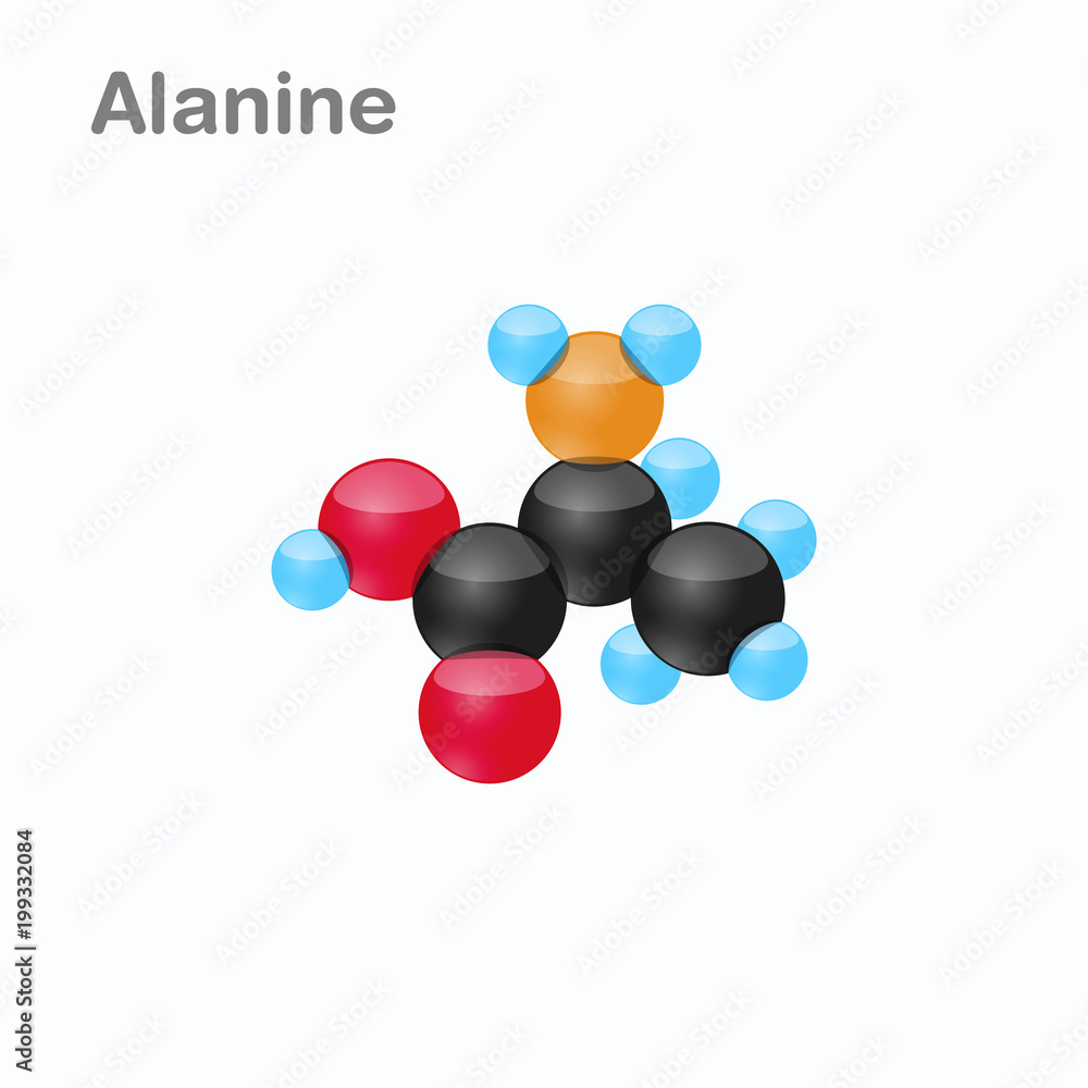 Molecule of Alanine Ala an amino acid used in the biosynthesis of ...