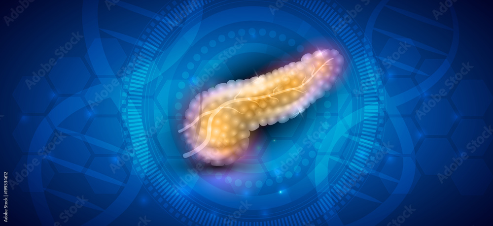 Pancreas anatomy illustration on an abstract scientific blue background ...