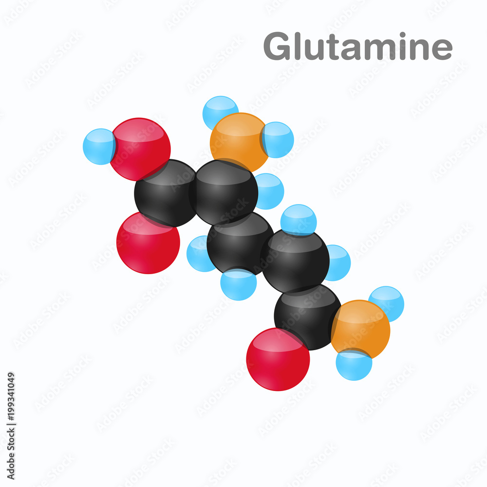 Molecule of Glutamine, Gln, an amino acid used in the biosynthesis of ...