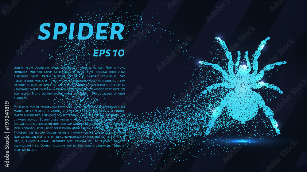 Spider of particles. The spider consists of circles and points. Vector ...