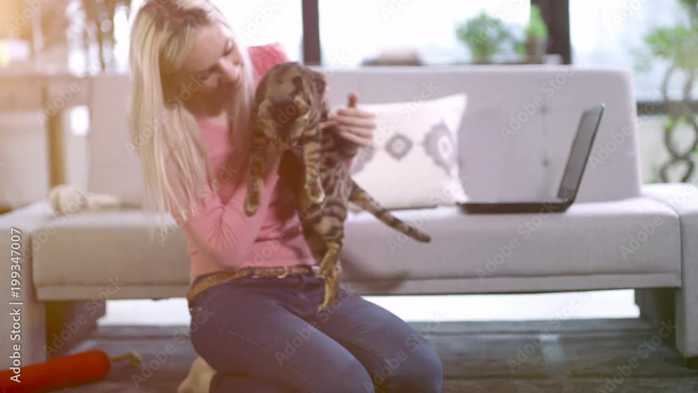 Woman working from home with pet cat Stock ビデオ | Adobe Stock