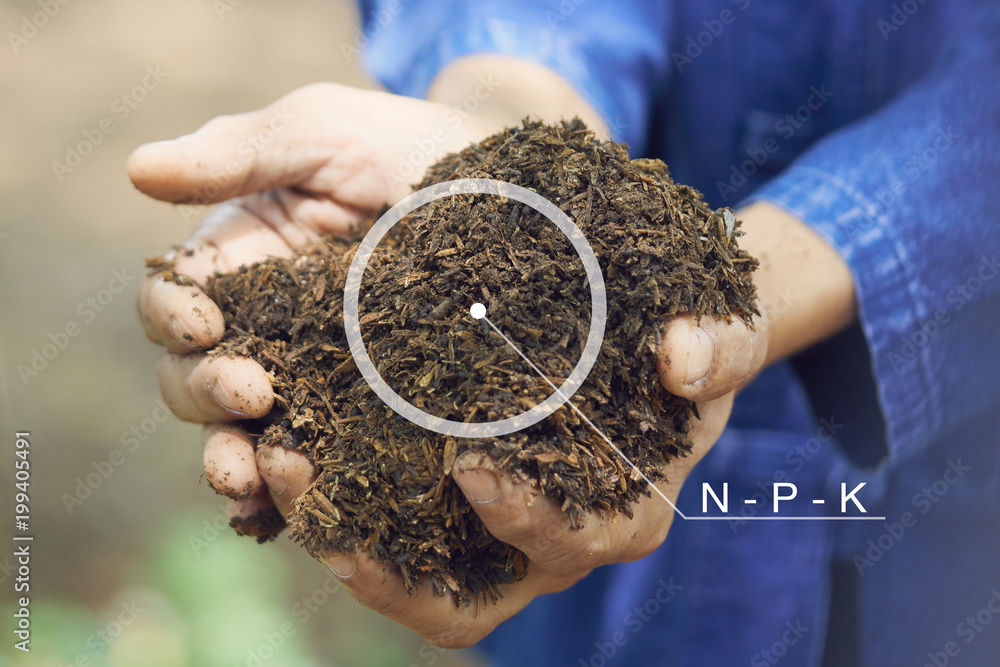 Infographics Circles and N - P - K , Male farmers are using both clayed ...