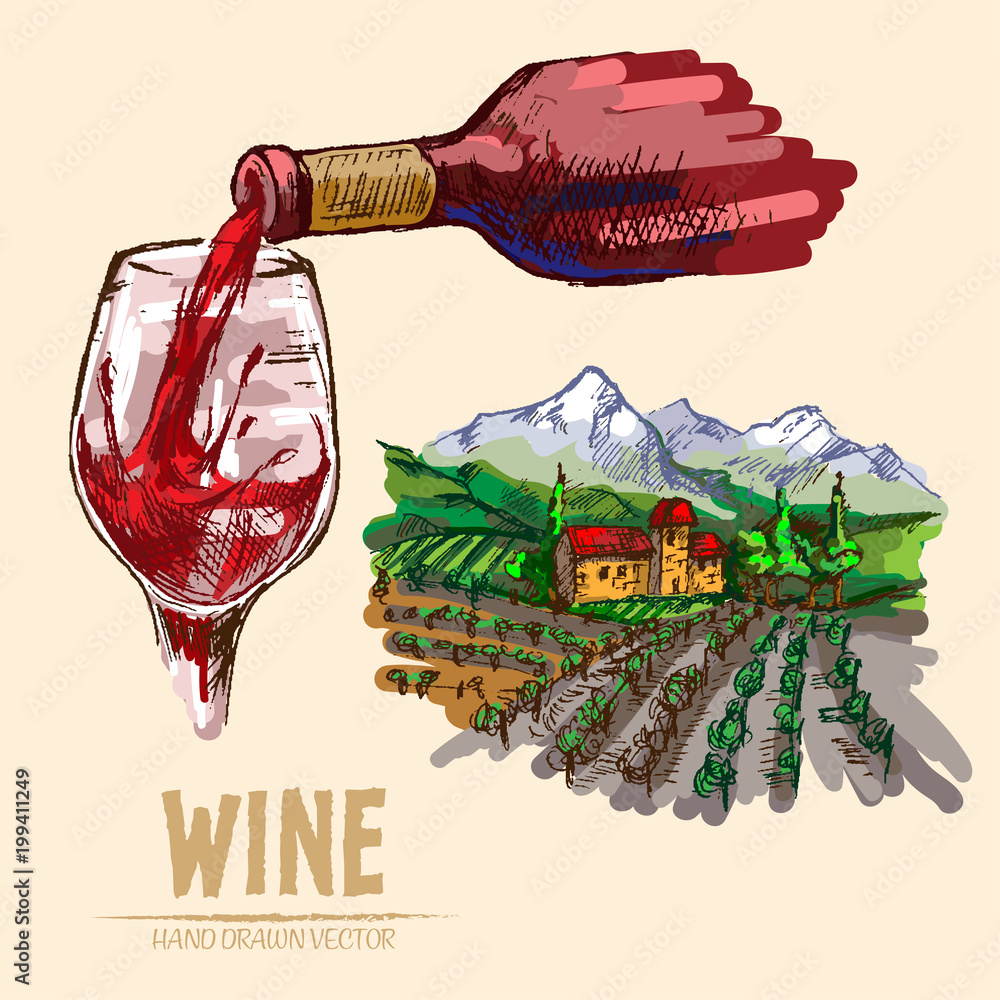 Digital vector detailed line art pouring wine Stock Vector | Adobe Stock