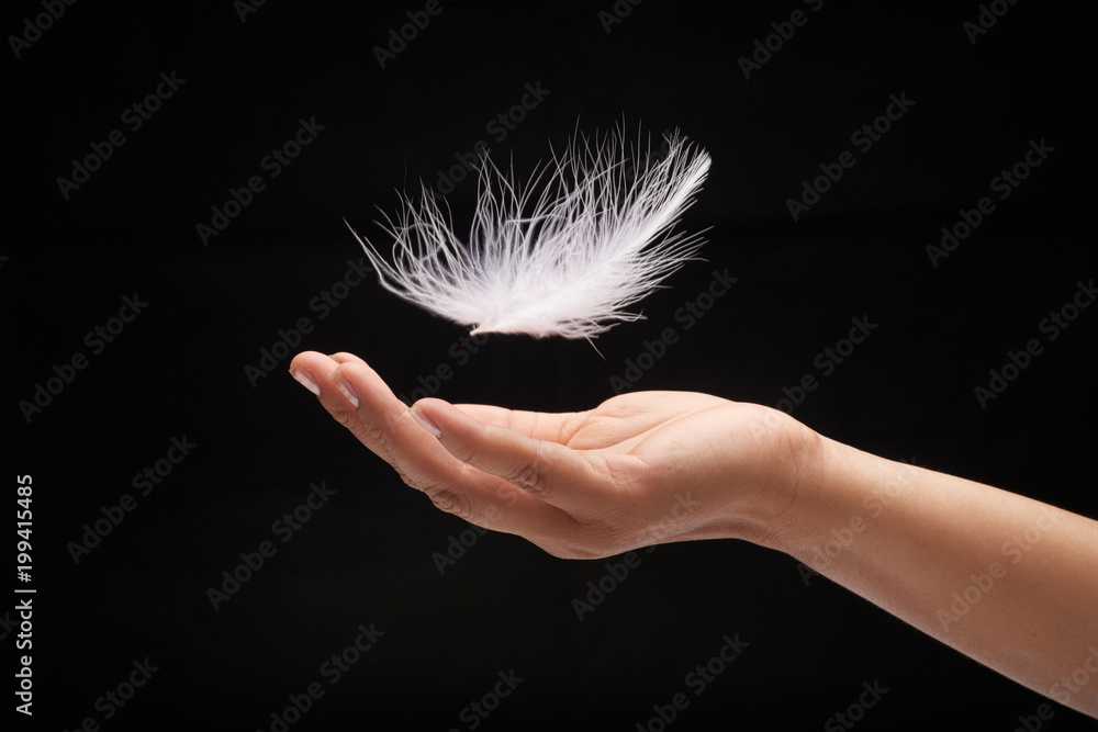 Feather Falling to Hand Stock Photo | Adobe Stock