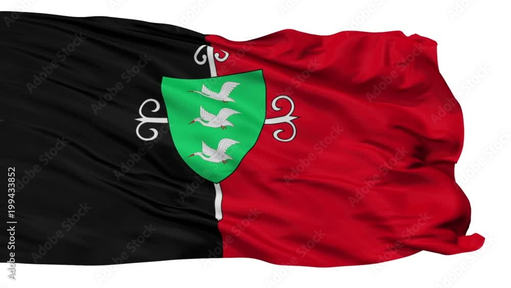 Santa Cruz flag, city of Chile, realistic animation isolated on white ...