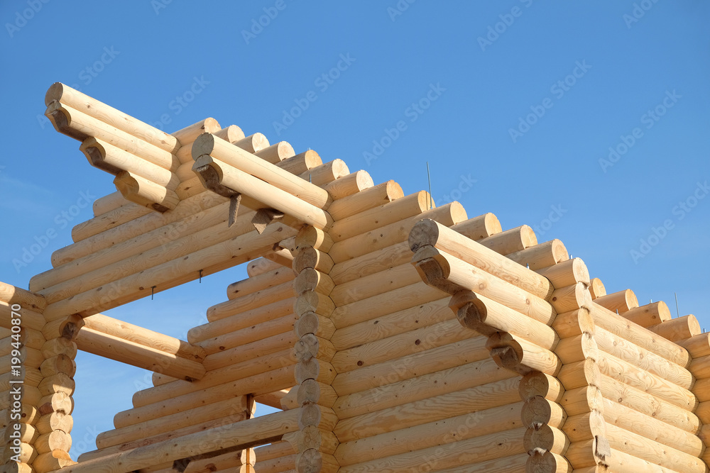 Big rural house construction from sandy brown smooth planed heavy pine ...