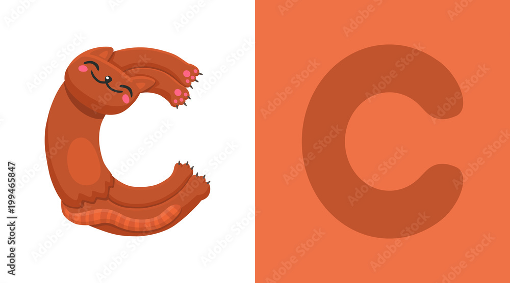 C is for Cat. Letter C. Cat, cute illustration. Animal alphabet. Stock ...