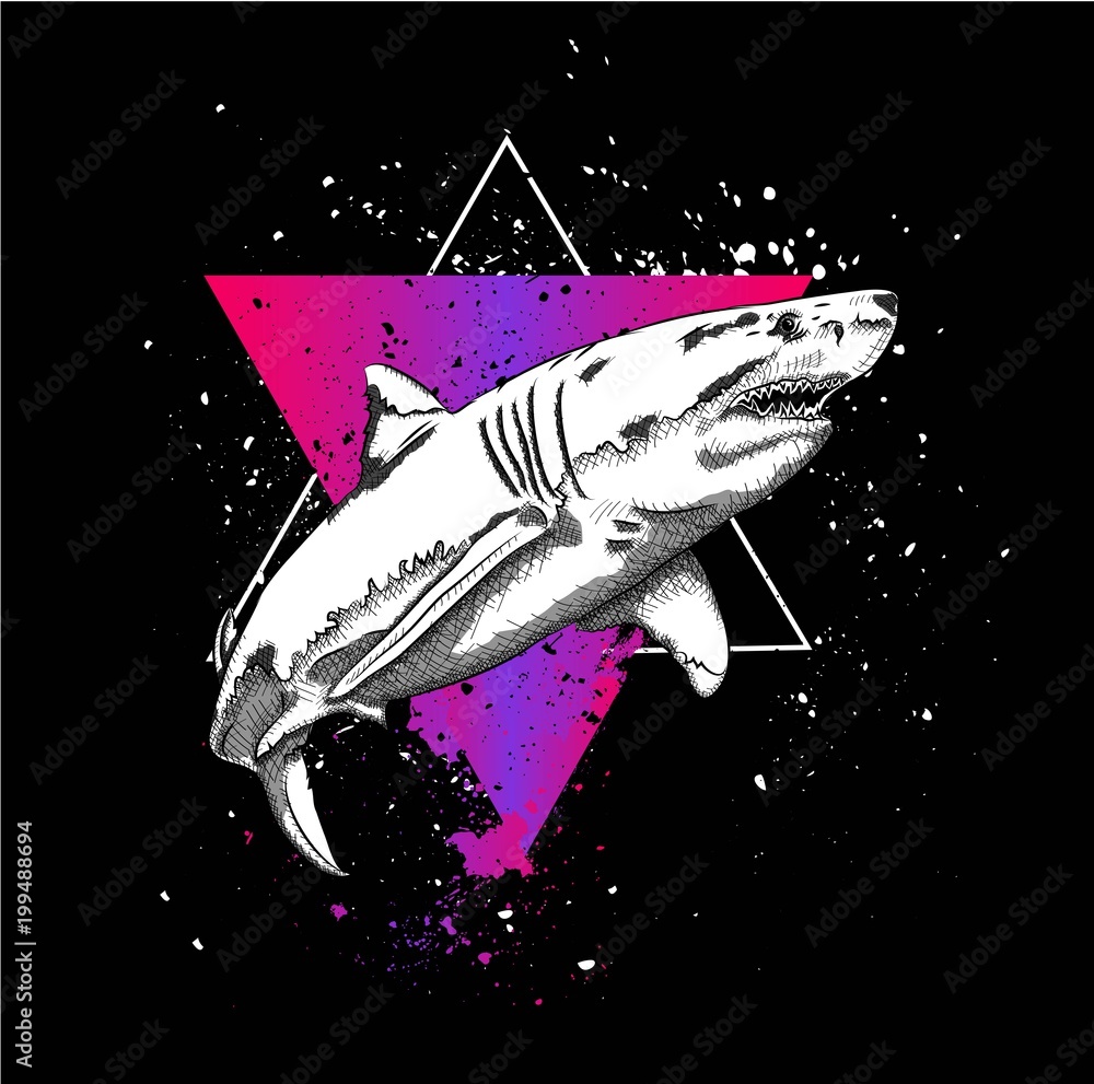 shark in a triangle. abstract drawing. vector illustration. Stock ...
