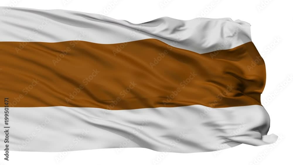 El Carmen de Viboral flag, city of Colombia, realistic animation ...