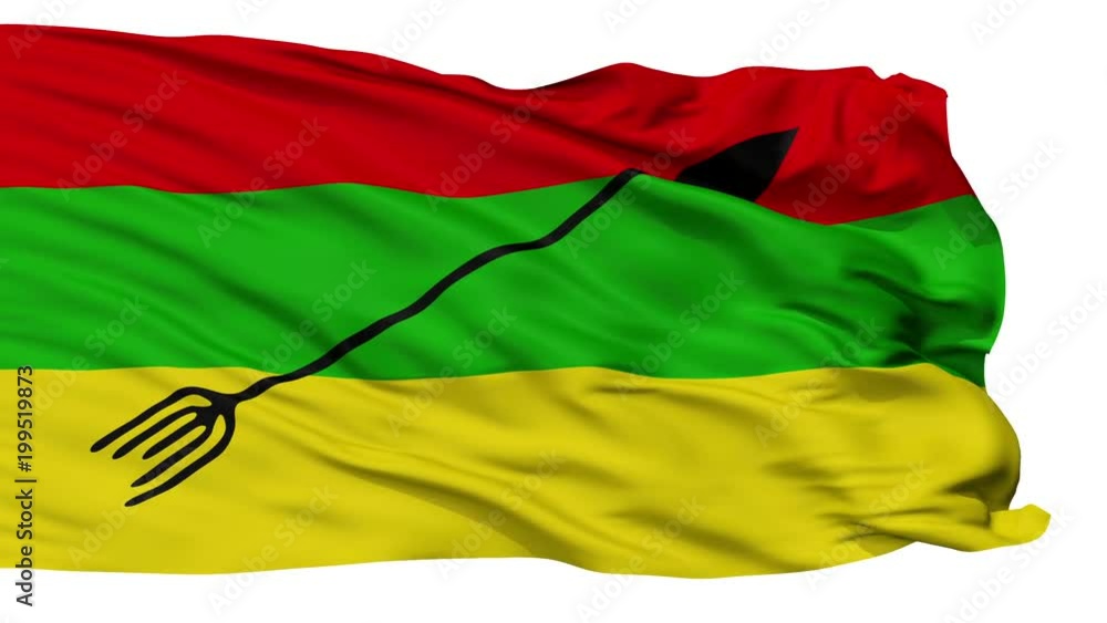 Vidéo Stock Neiva flag, city of Colombia, realistic animation isolated ...