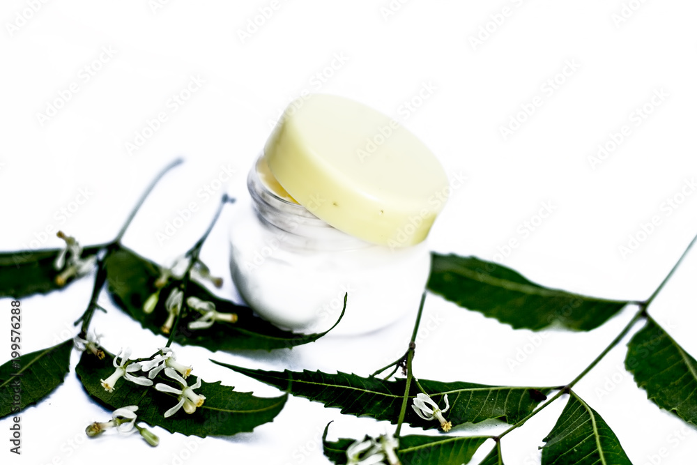 Close up of cream of Neem,Nim, Indian Iilac or Azadirachta indica with ...