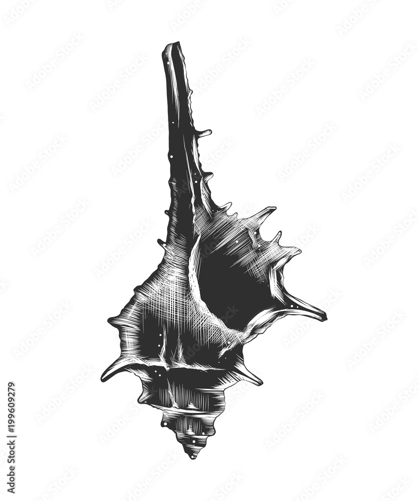 Vector engraved style illustration for posters, decoration and print ...