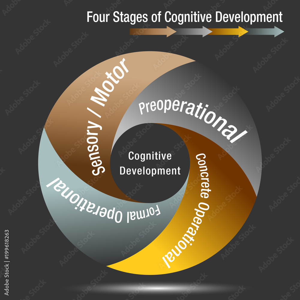 Four Stages of Cognitive Development Stock Vector | Adobe Stock