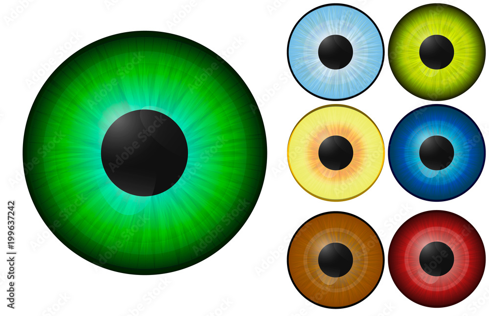 realistic human eye in the performance vector graphics EPS-10. a set of ...