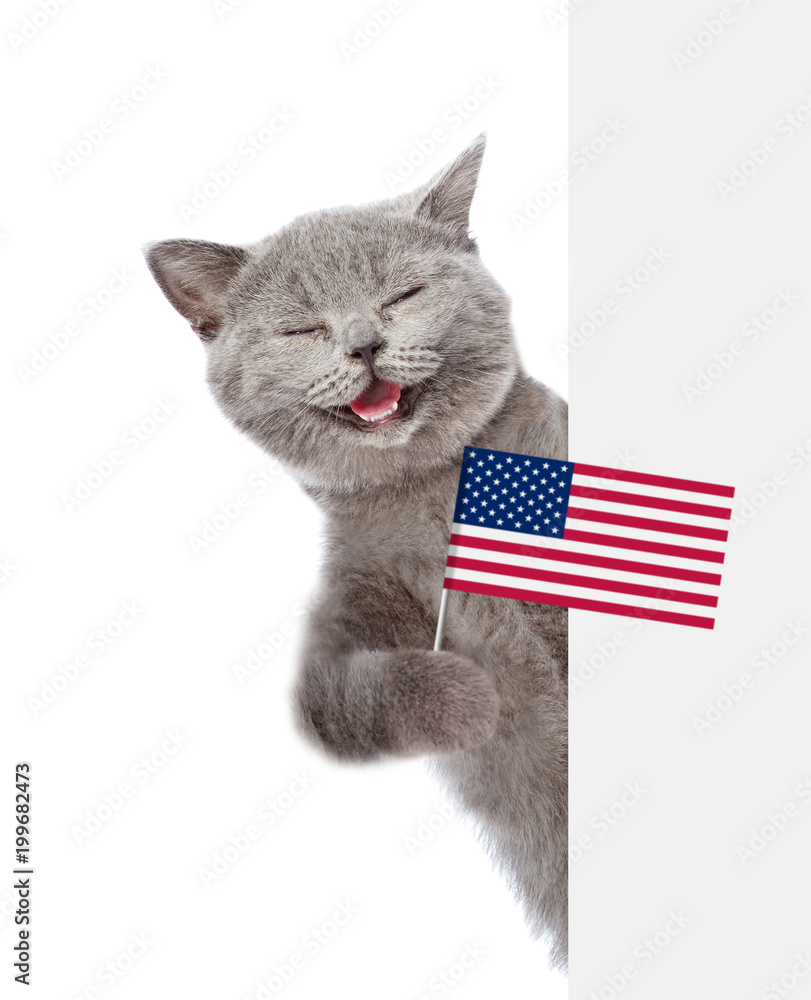 Happy cat holding American flag in paw above white banner. isolated on ...
