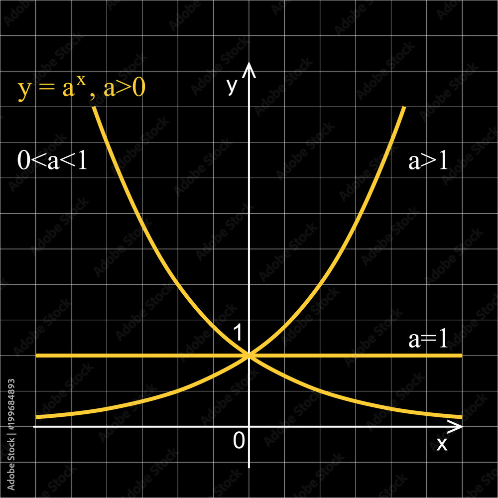 Linear graph in a coordinate system. Exponential curve. Stock Vector ...