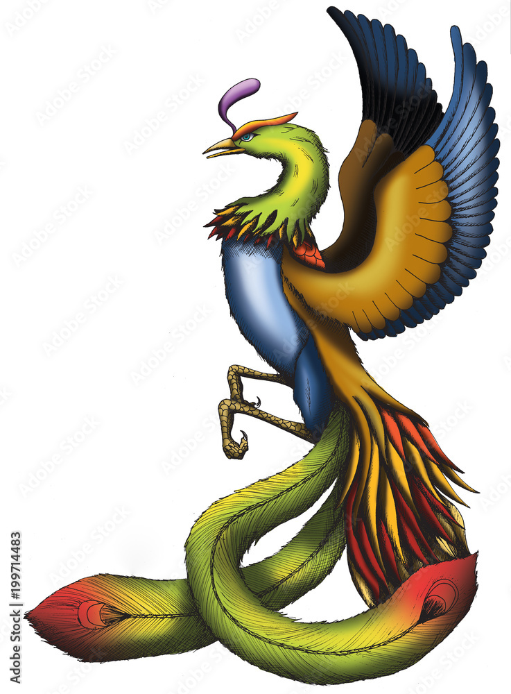 Chinese phoenix illustrarion Stock Illustration | Adobe Stock