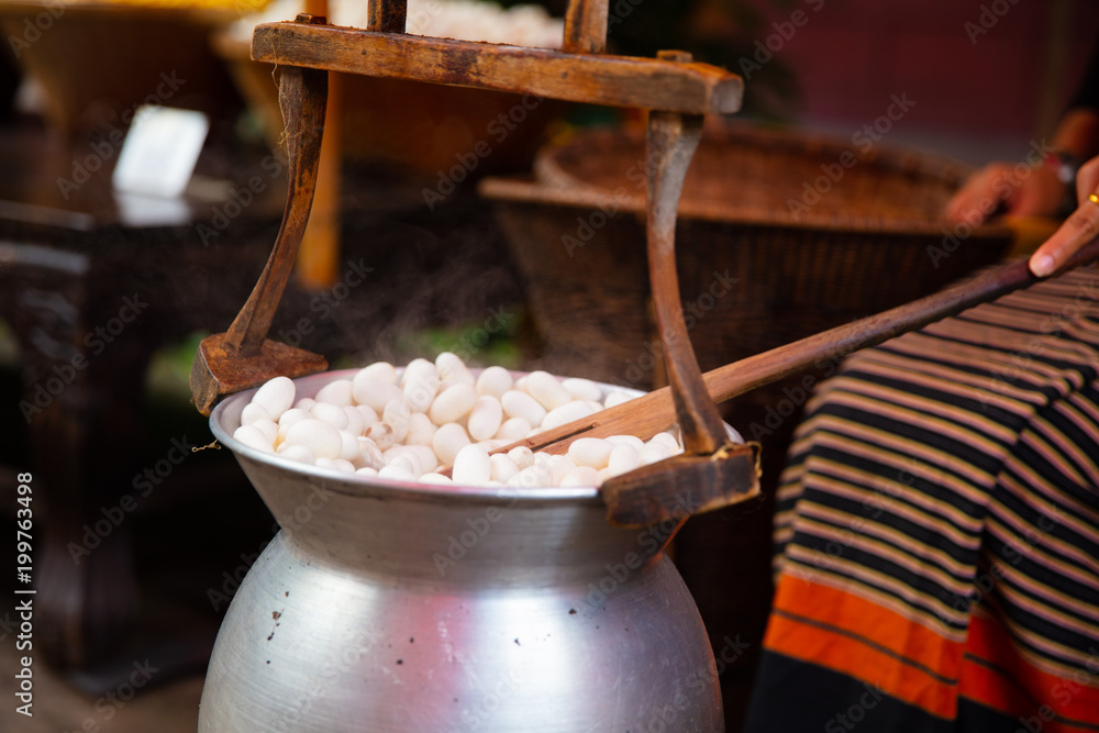 Silk Cocoons Boiling In Large Pot Stock Photo | Adobe Stock