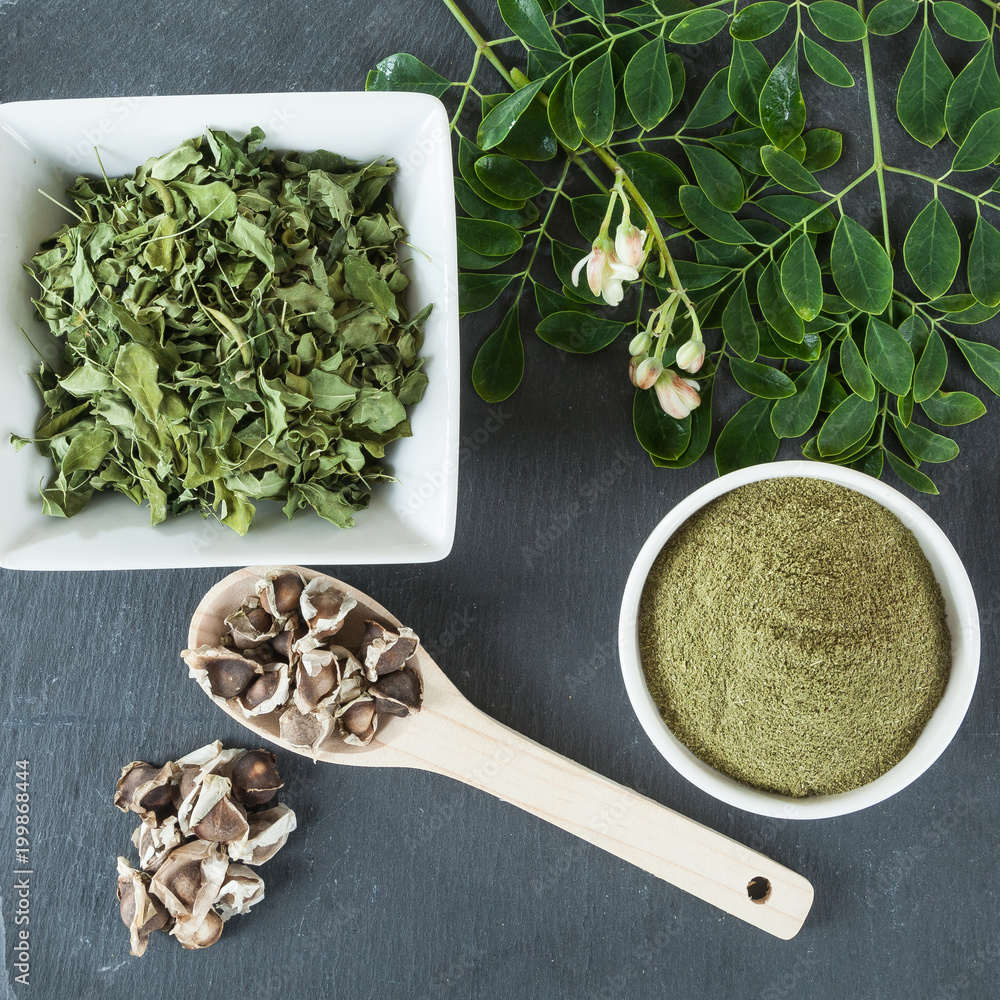 the tree of life-Moringa oleifera medicinal plant Stock Photo | Adobe Stock