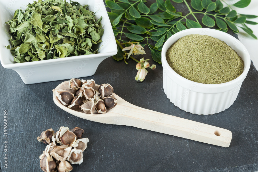 the tree of life-Moringa oleifera medicinal plant Stock Photo | Adobe Stock