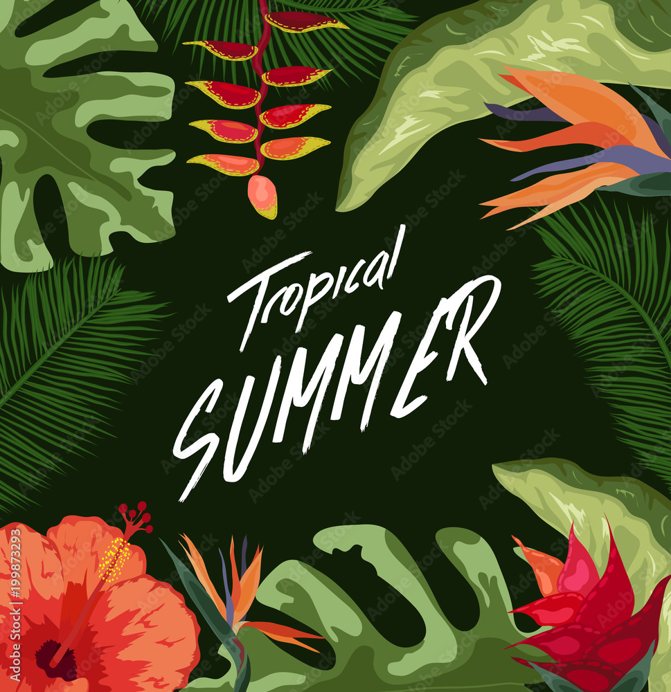 Summer tropical background with flowers. Background with tropical ...
