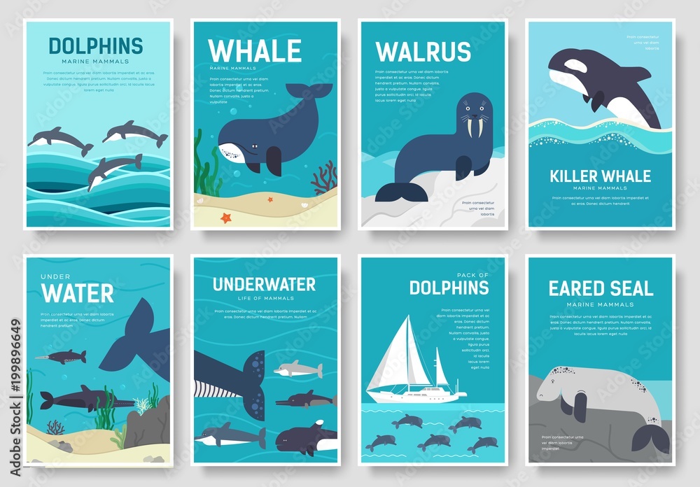 Set of Sea mammals pattern concept. Art animal, magazine, book, poster ...
