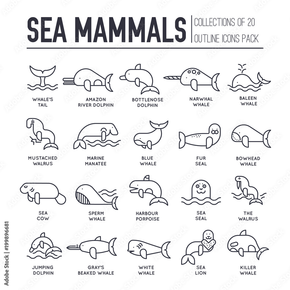 Sea mammals animal thin lines collection icons set. Vector outline fish ...