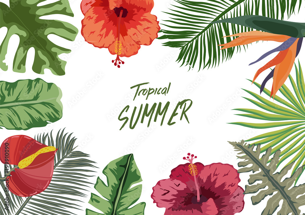Summer tropical background with flowers. Background with tropical ...
