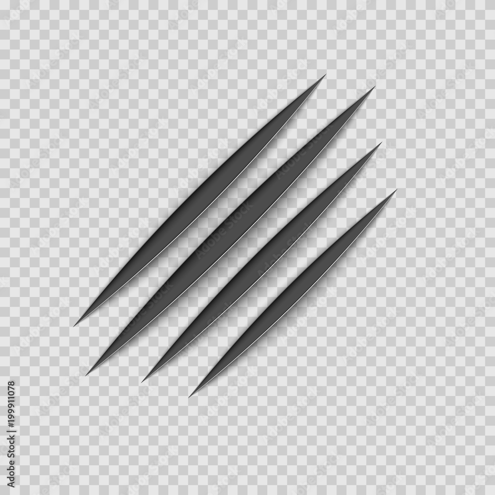 Black claws animal scratch scrape track. Cat or tiger scratches paw ...