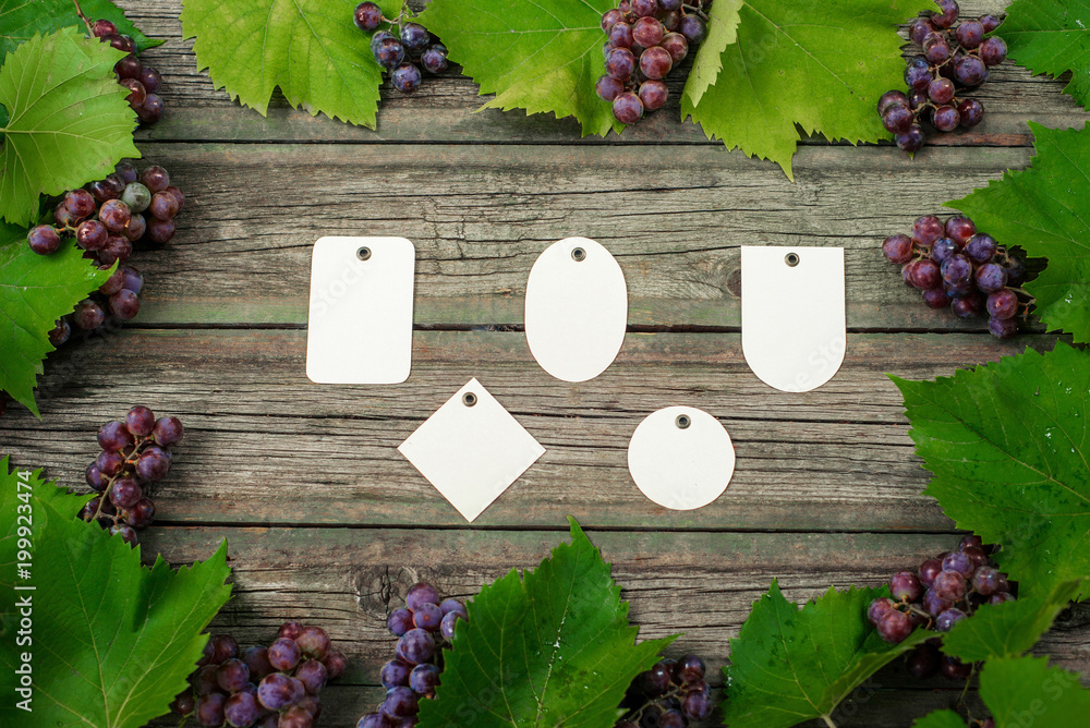 Vine with pink grapes and leaves around on vintage rustic wooden table ...