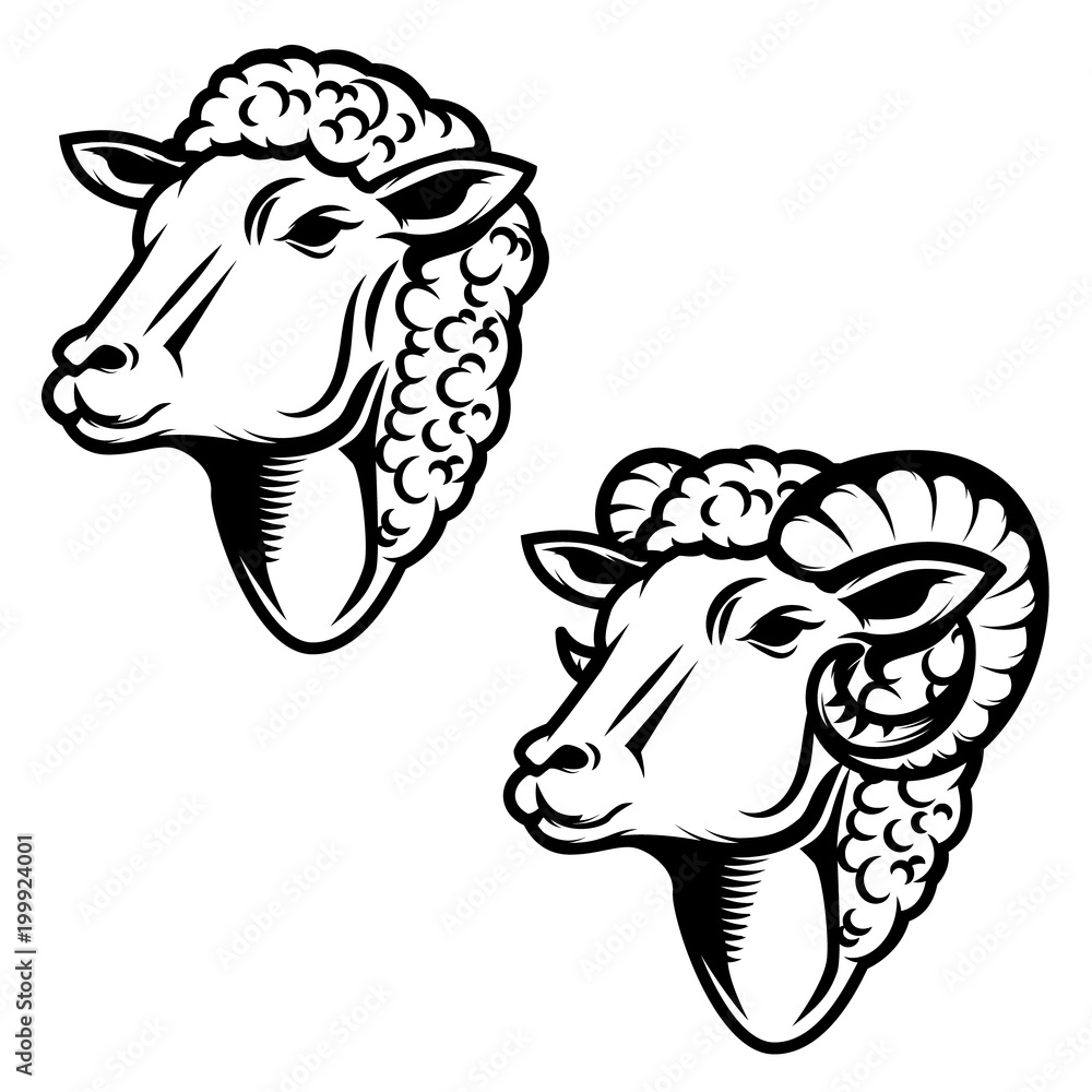 Set of sheep head illustration. Ram head. Design element for logo ...