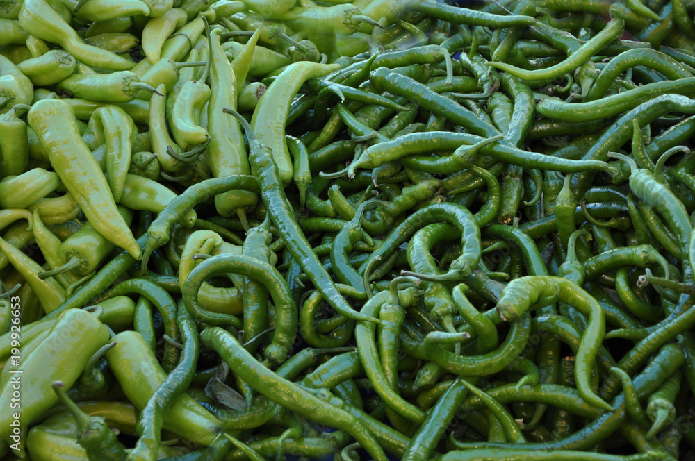 Vollbild, grüne längliche scharfe Chilis, würzige Peperoni Stock-Foto ...