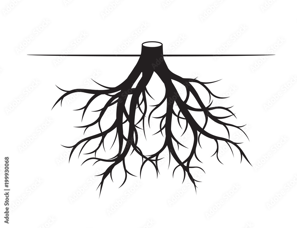 Black shape of Roots. Vector Illustration and graphic element. Stock ...
