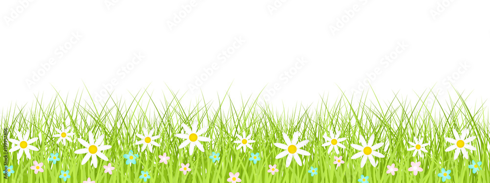 Spring grass, flower seamless border, Easter greeting card decoration ...