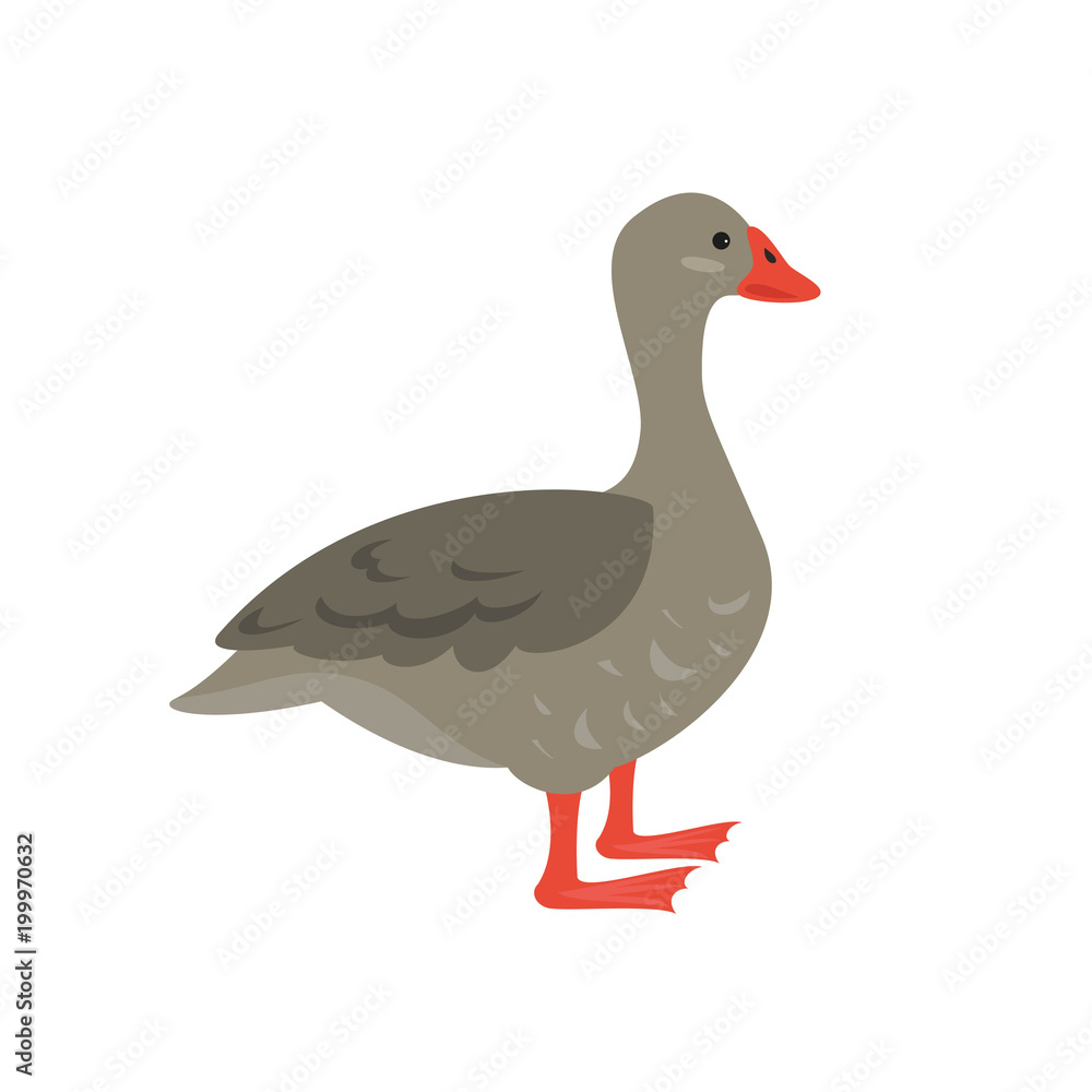 Cartoon goose icon on white background. Stock Vector | Adobe Stock