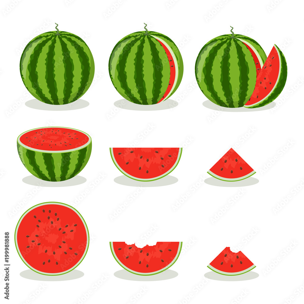 Set of colorful watermelon icons Stock Vector | Adobe Stock
