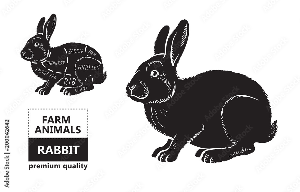 Cut of rabbit. Poster Butcher diagram for groceries, meat stores ...