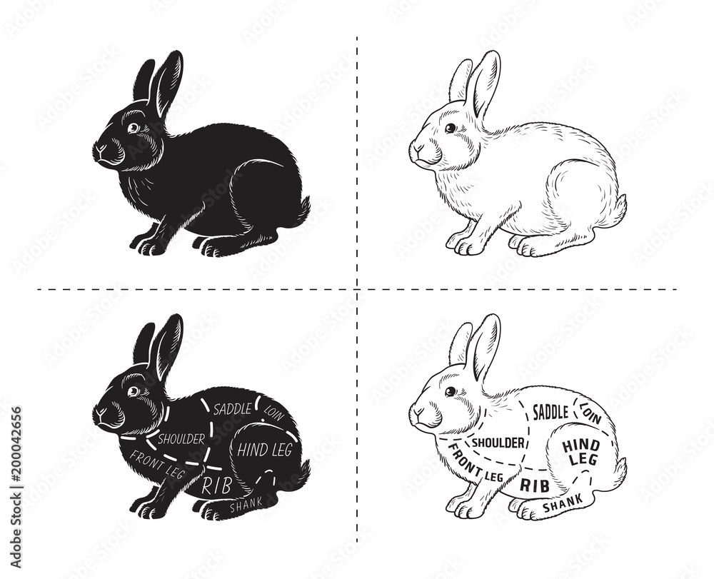 Cut of rabbit. Poster Butcher diagram for groceries, meat stores ...