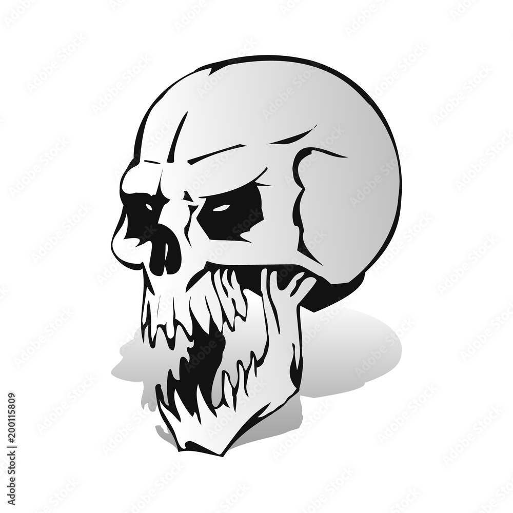 Gray aggressive skull with open jaw with shadow, silhouette on white ...