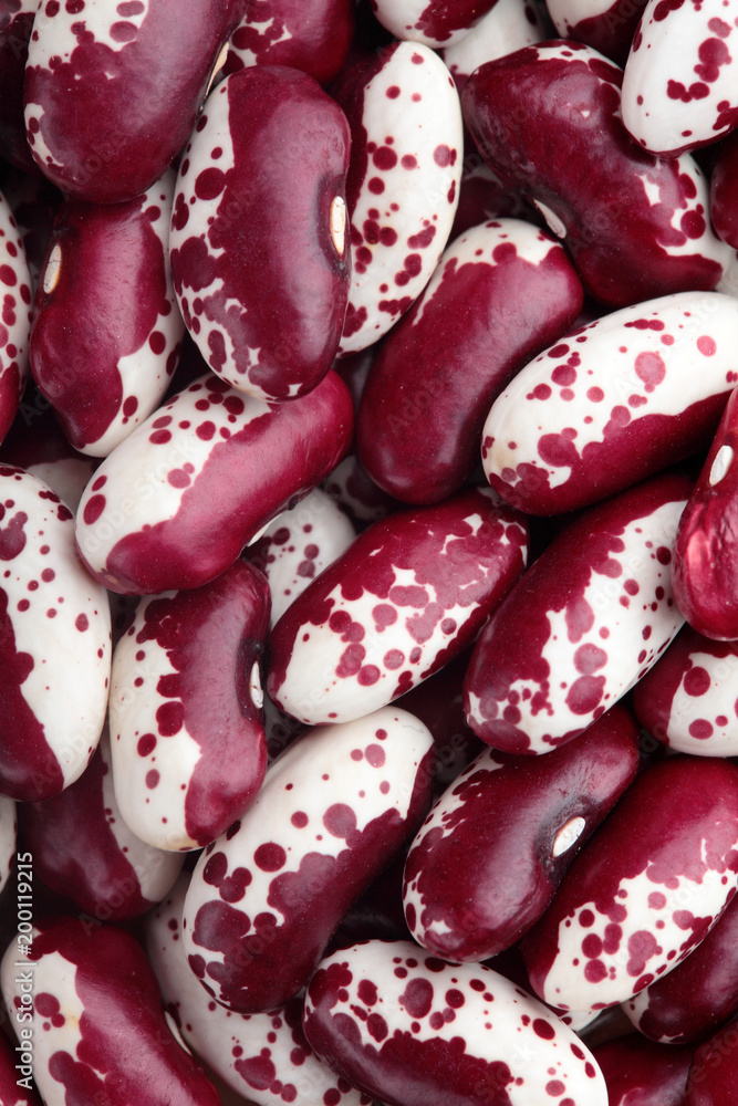 Texture of violet with dots beans.Beans handsome.Swallow beans ...