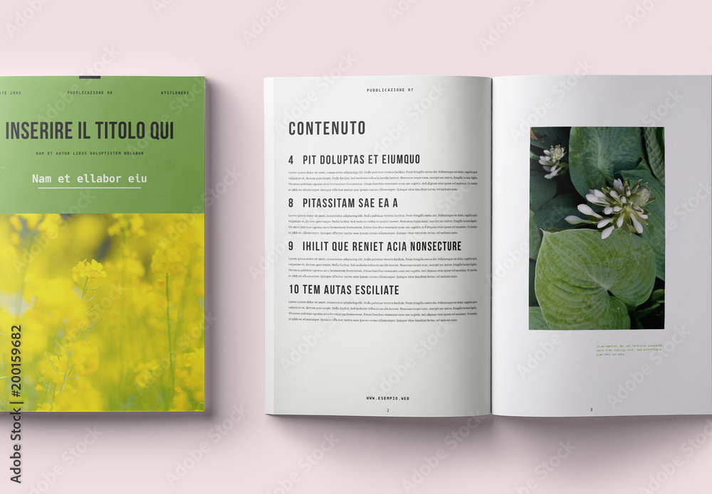 Layout rivista chiara e moderna Stock Template | Adobe Stock